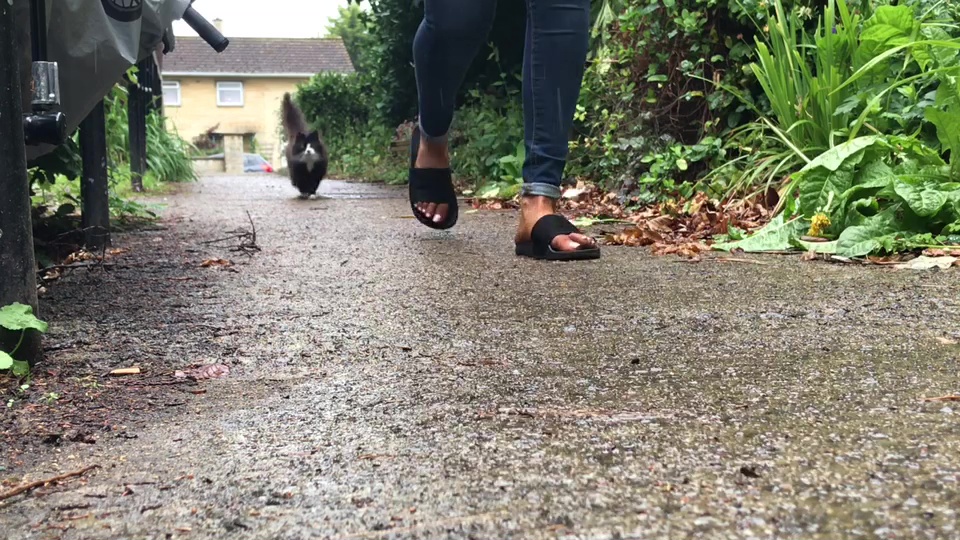 Tackling homelessness